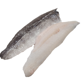 Blue Cod Fillets Skin On Bone Out 1kg/Fresh - Solander Wholesale
