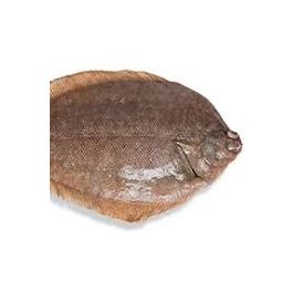 Lemon Sole Gilled & Gutted 1kg/Fresh - Solander Wholesale