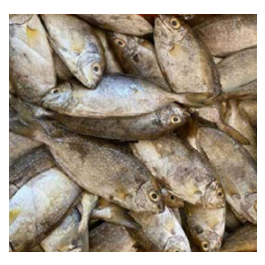 Yellowtail Scad Whole Round 10kg Carton/Frozen - Solander Wholesale