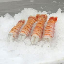 Scampi Tails NZ GT Ungraded 4kg Carton/Frozen - Solander Wholesale