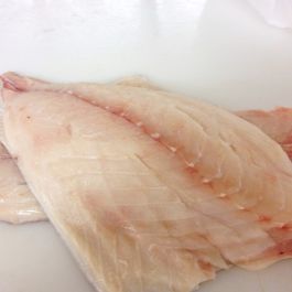 White Warehou Fillets Skin On Bone Out 1kg/Fresh - Solander Wholesale